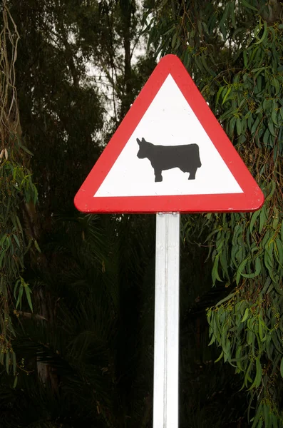 Wild boar traffic sign Stock Photos, Royalty Free Wild boar traffic ...