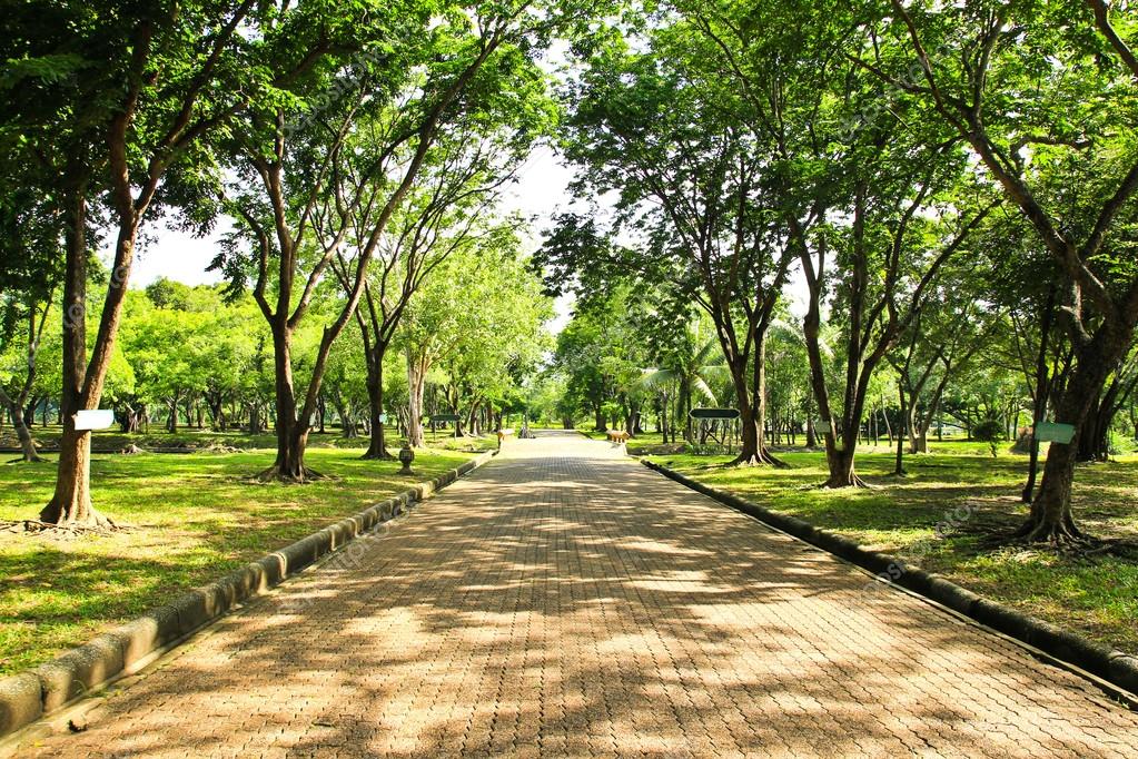 Walkway in the park — Stock Photo © doraclub #29591521