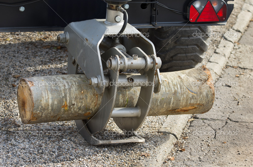 Timber in claw — Stock Photo © budabar #32870821