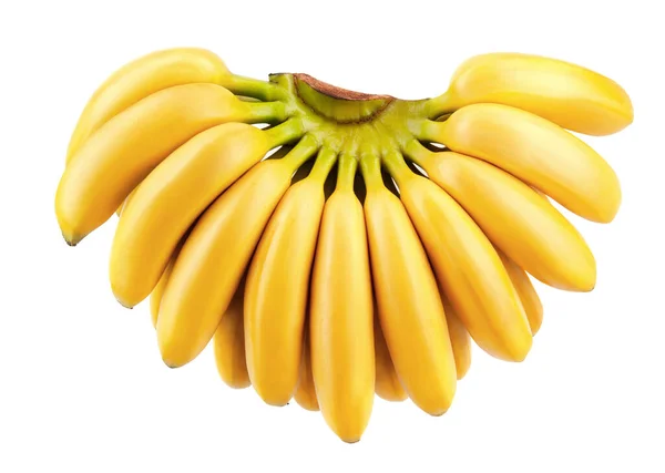 Flower banana Stock Photos, Royalty Free Flower banana Images ...