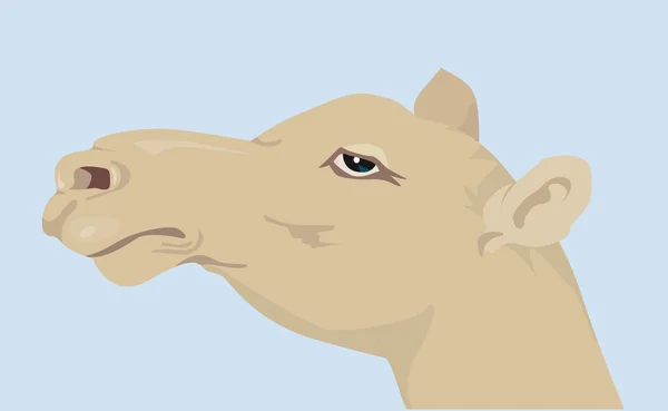 705 Spit Stock Illustrations | Depositphotos