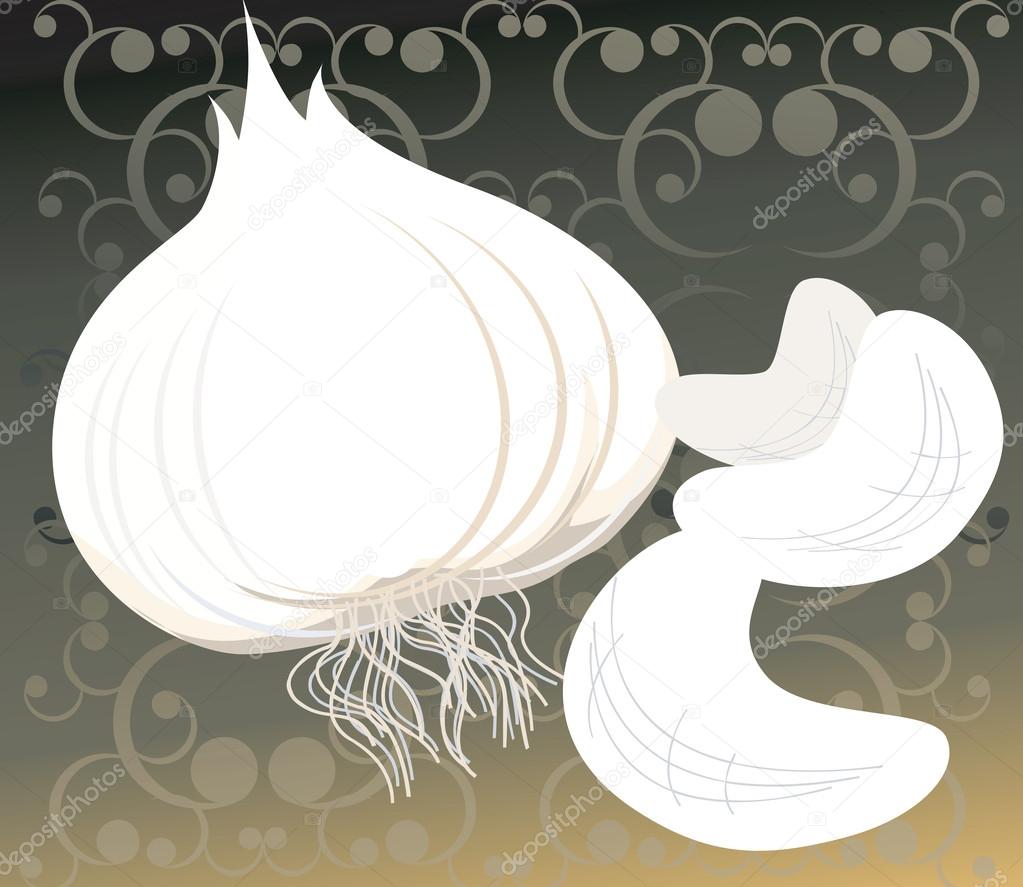 Garlic and slices Stock Vector Image by ©maaillu #32973789