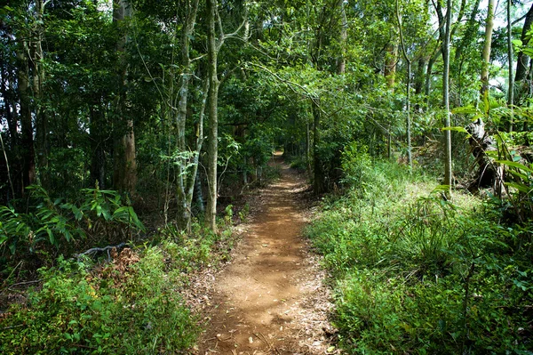 Sentul nature reserve Stock Photos, Royalty Free Sentul nature reserve ...