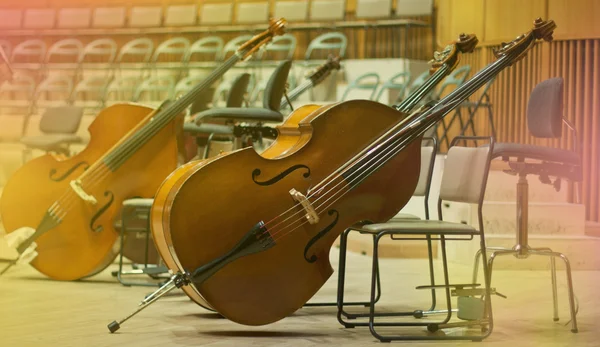 Contrabass Stock Photos, Royalty Free Contrabass Images | Depositphotos