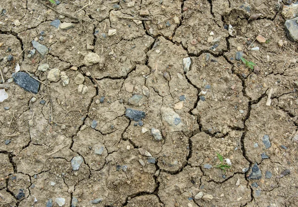Fissured soil fotos de stock, imágenes de Fissured soil sin royalties ...
