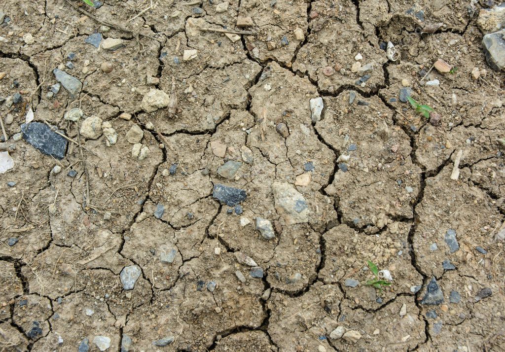 Close up many stone be arid — Stock Photo © jillwt #50793009