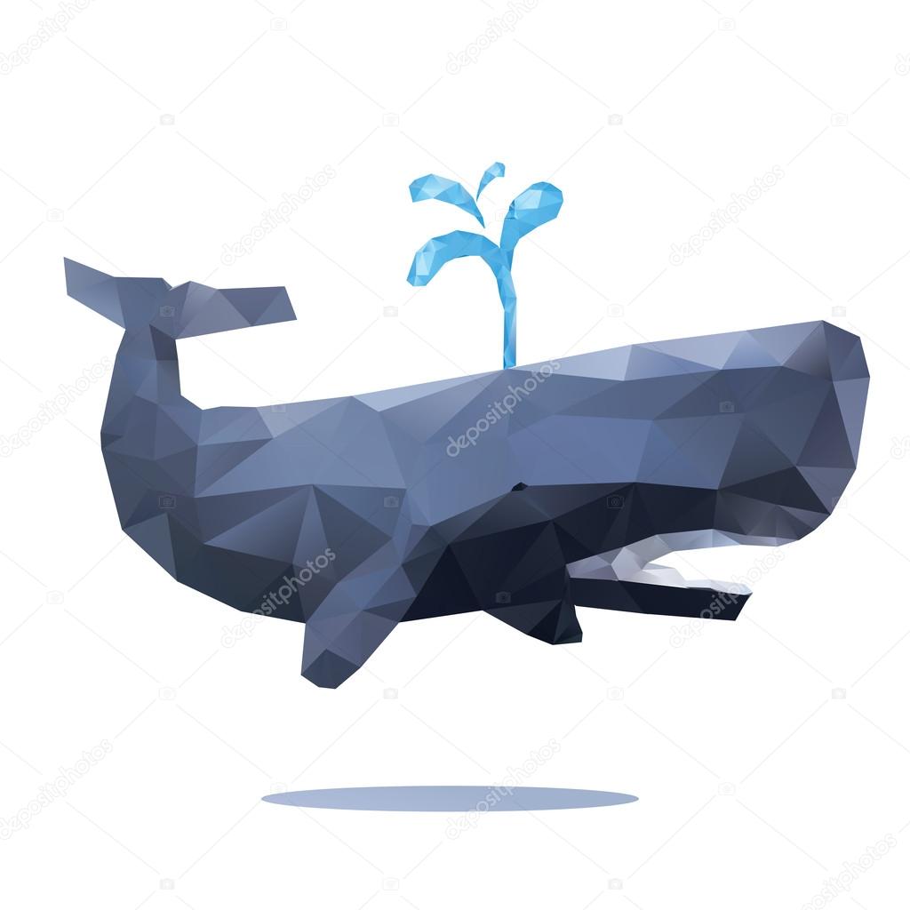 Blue whale Stock Vector Image by ©dejongjet303 #47530955