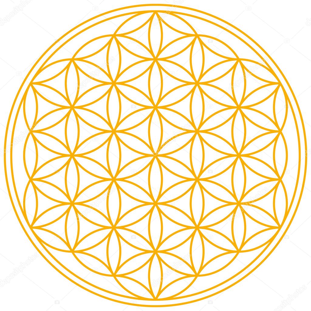 Flower Of Life Pattern Vector Free | Best Flower Site
