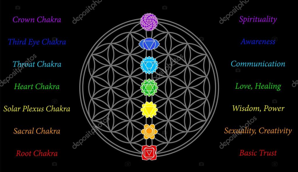 Flower of Life Chakras Description Black Stock Vector Image by ©Furian ...