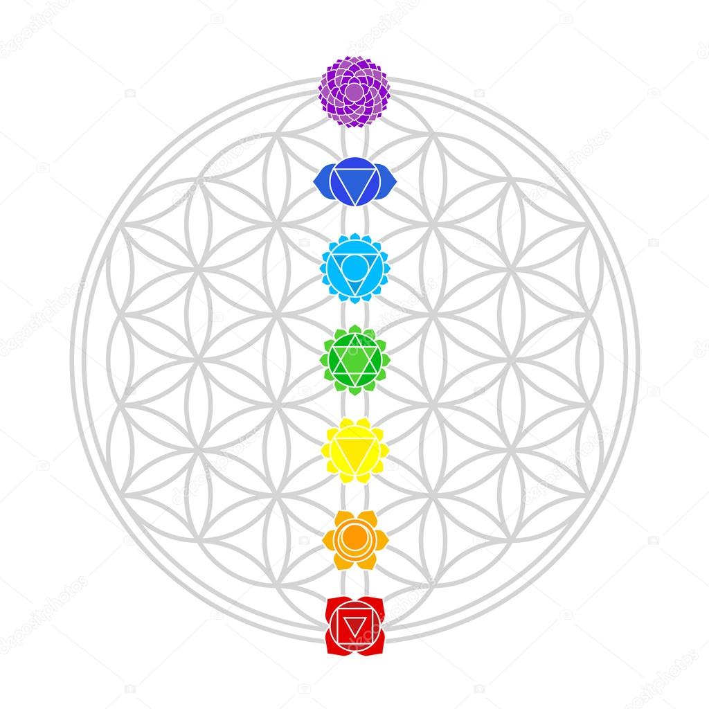 Flower of Life Chakras White Stock Vector Image by ©Furian #51281511
