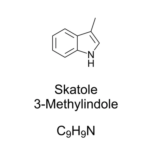 Estragole Chemical Formula Structure Also Allylanisole Methyl Chavicol ...