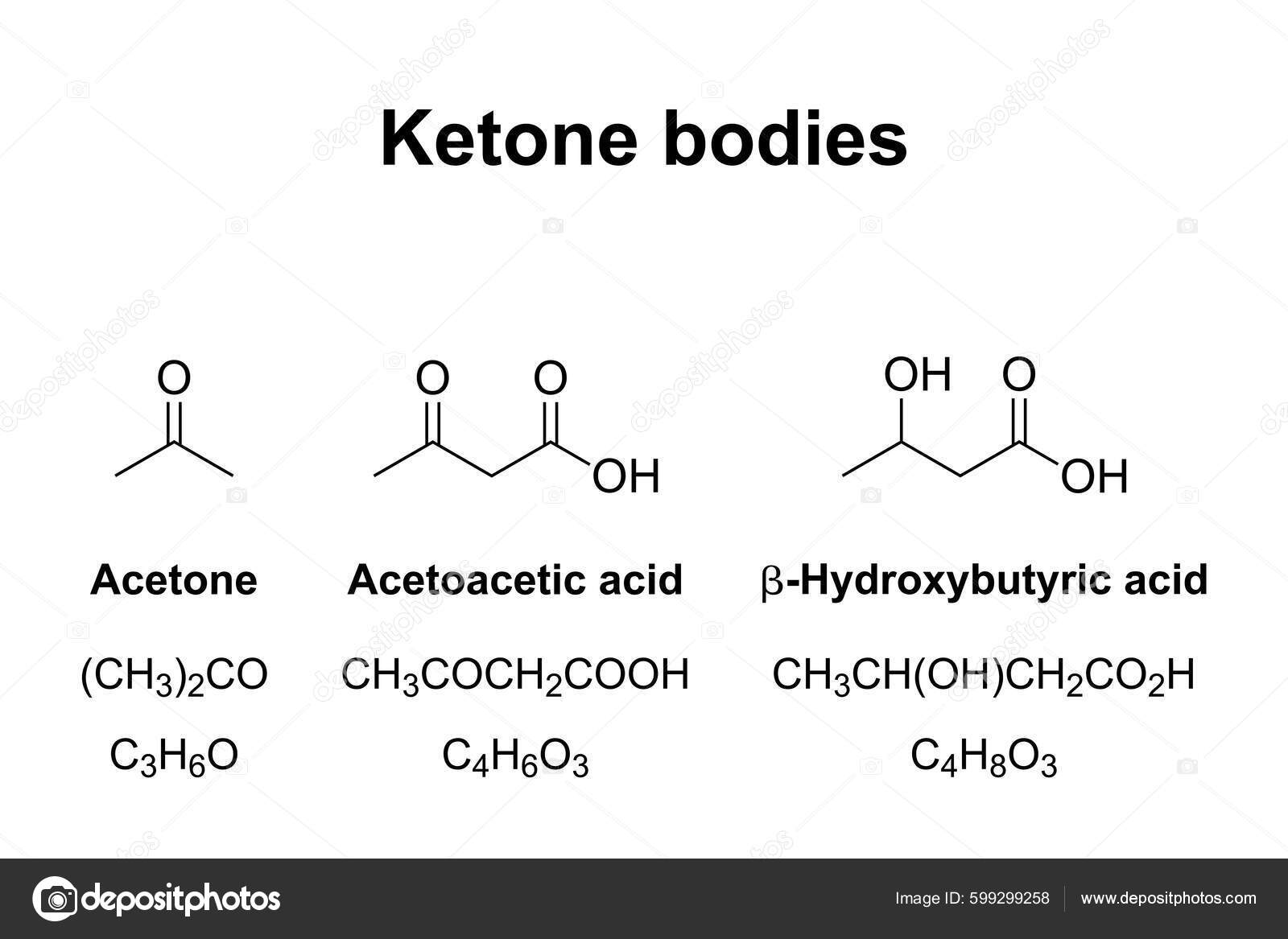 Ketone Bodies Chemical Formulas Water Soluble Molecules Contain Ketone Groups Stock Vector Image