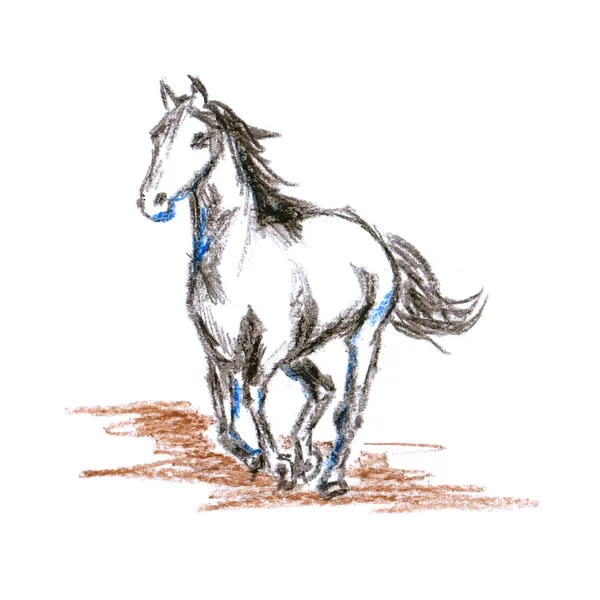 Ceruza rajz egy futó ló — Stock Fotó #26435507