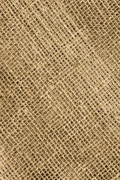 Snake pattern — Stock Photo © S_Razvodovskij #2794164