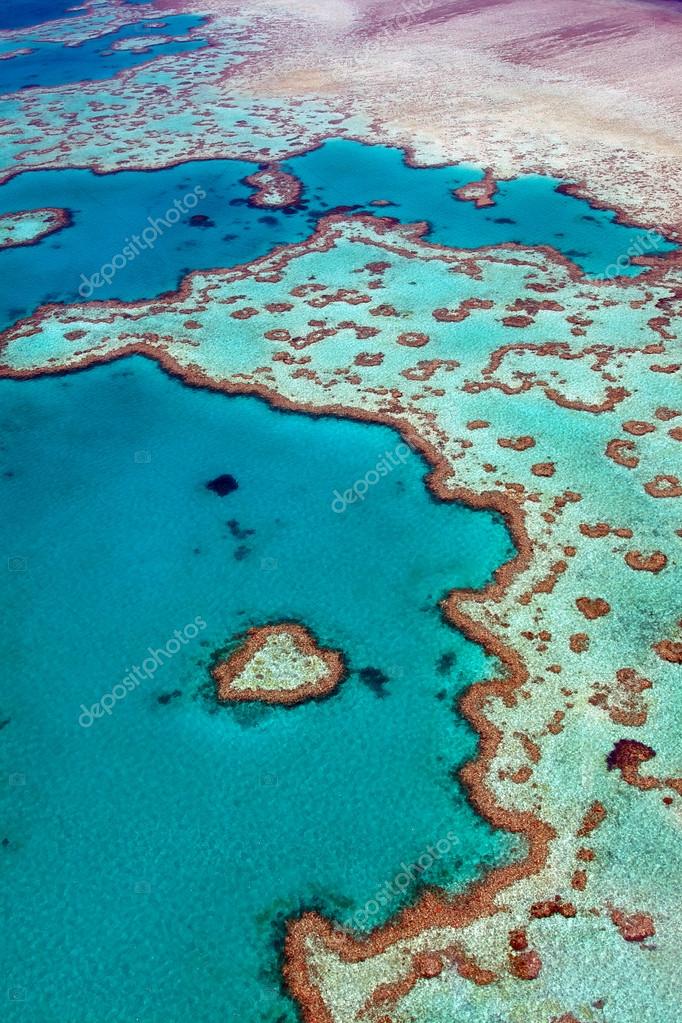 Heart Reef Whitsundays Aerial — Stock Photo © tanyapuntti #37655463