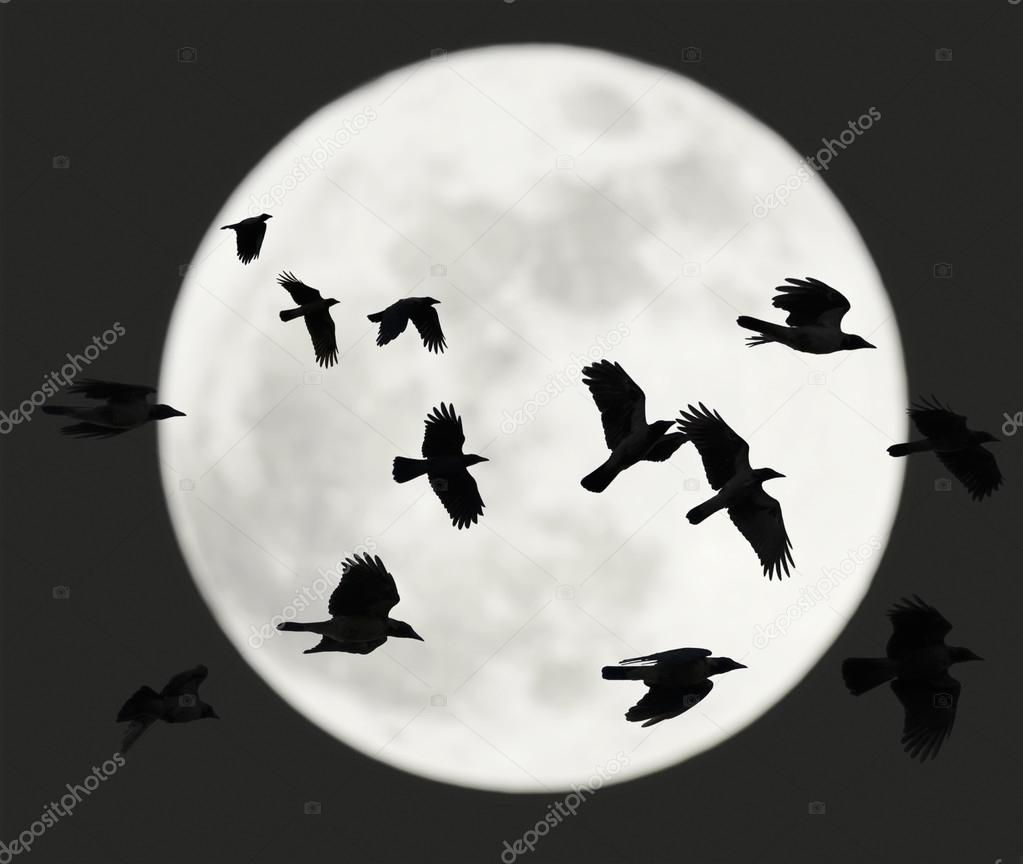 Flying crows with full moon — Stock Photo © Sziban #41547361