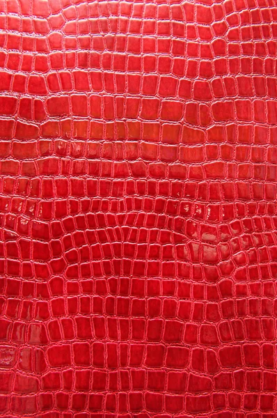 Red crocodile Stock Photos, Royalty Free Red crocodile Images ...