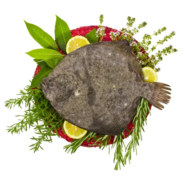 Flounder fish Stock Photos, Royalty Free Flounder fish Images ...