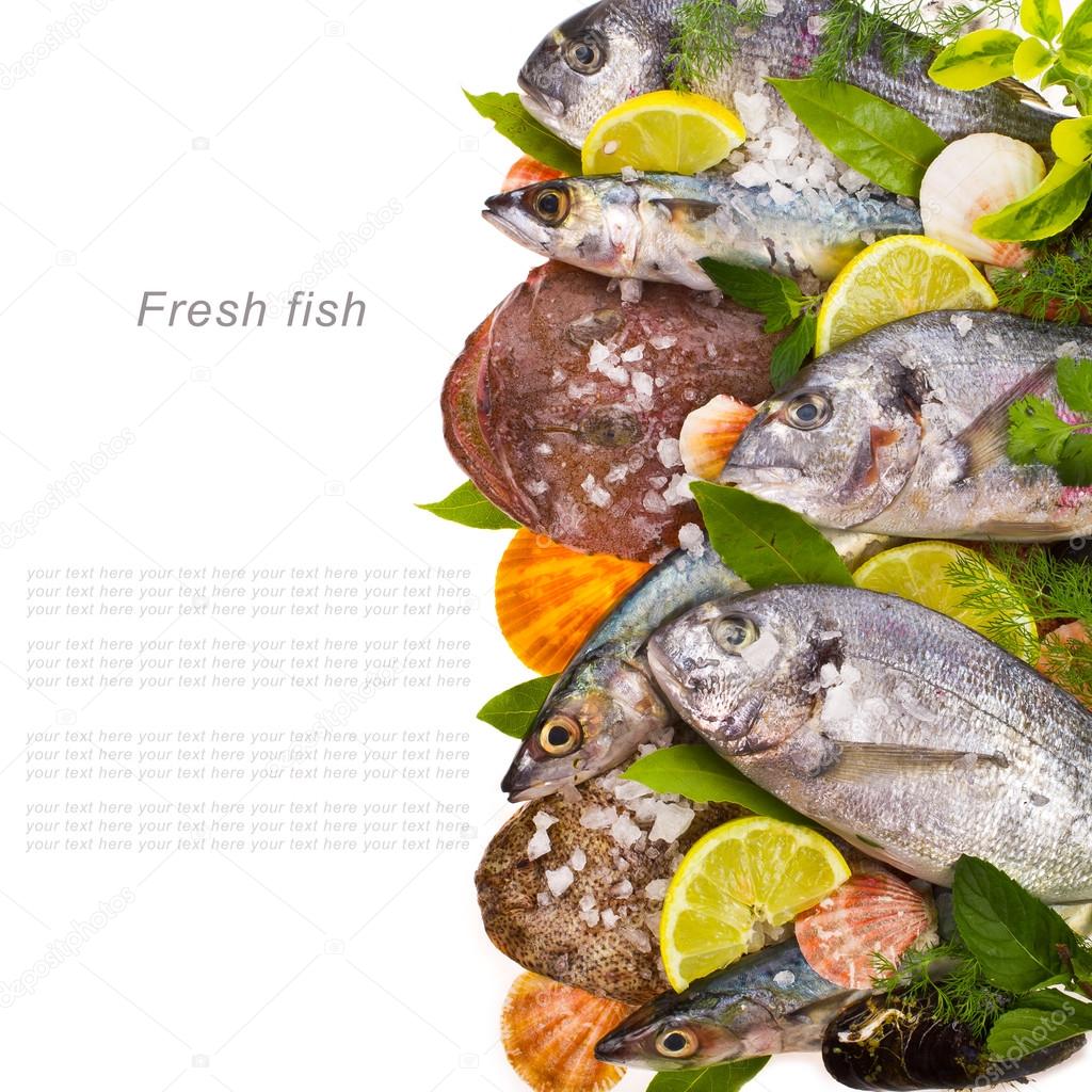 Fresh fish Stock Photo by ©vanazi 27605885