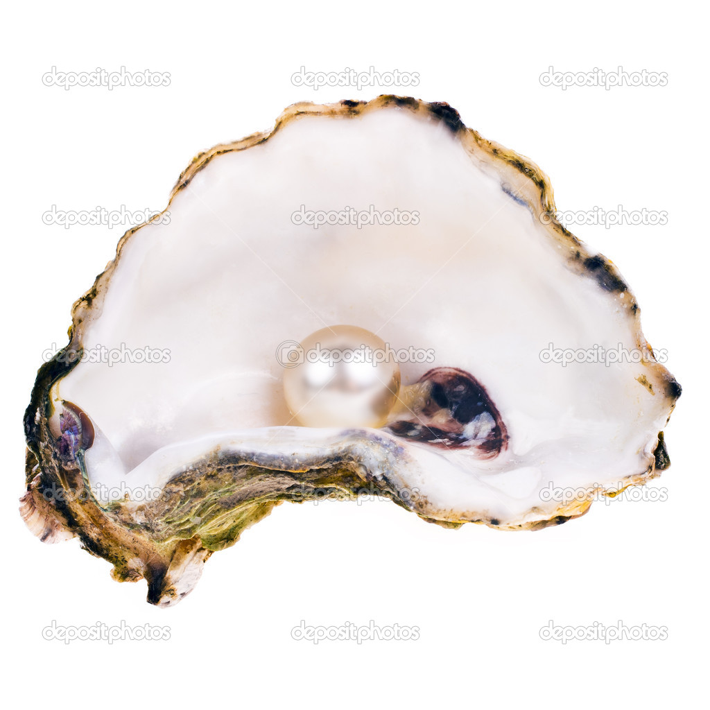 Big pearl in an oyster shell — Stock Photo © vanazi #27606355