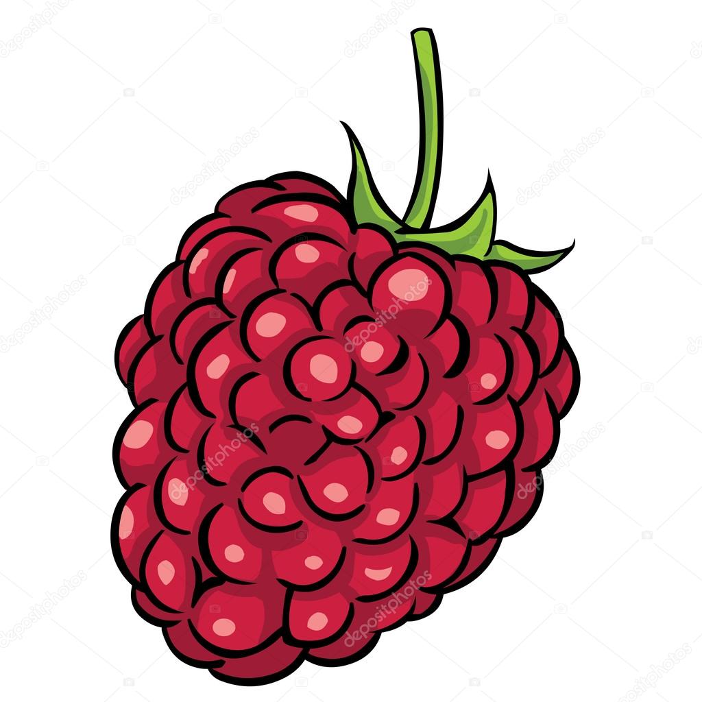 Vector cartoon raspberry — Stock Vector © nikiteev #31213305 Vector cartoon raspberry — Stock Vector © nikiteev #31213305