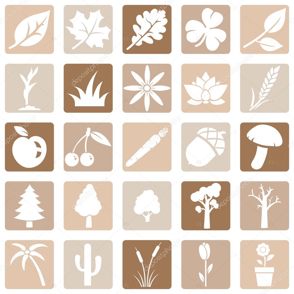 Vector Set of Plants Icons Stock Vector Image by ©nikiteev #47861355 Vector Set of Plants Icons Stock Vector Image by ©nikiteev #47861355