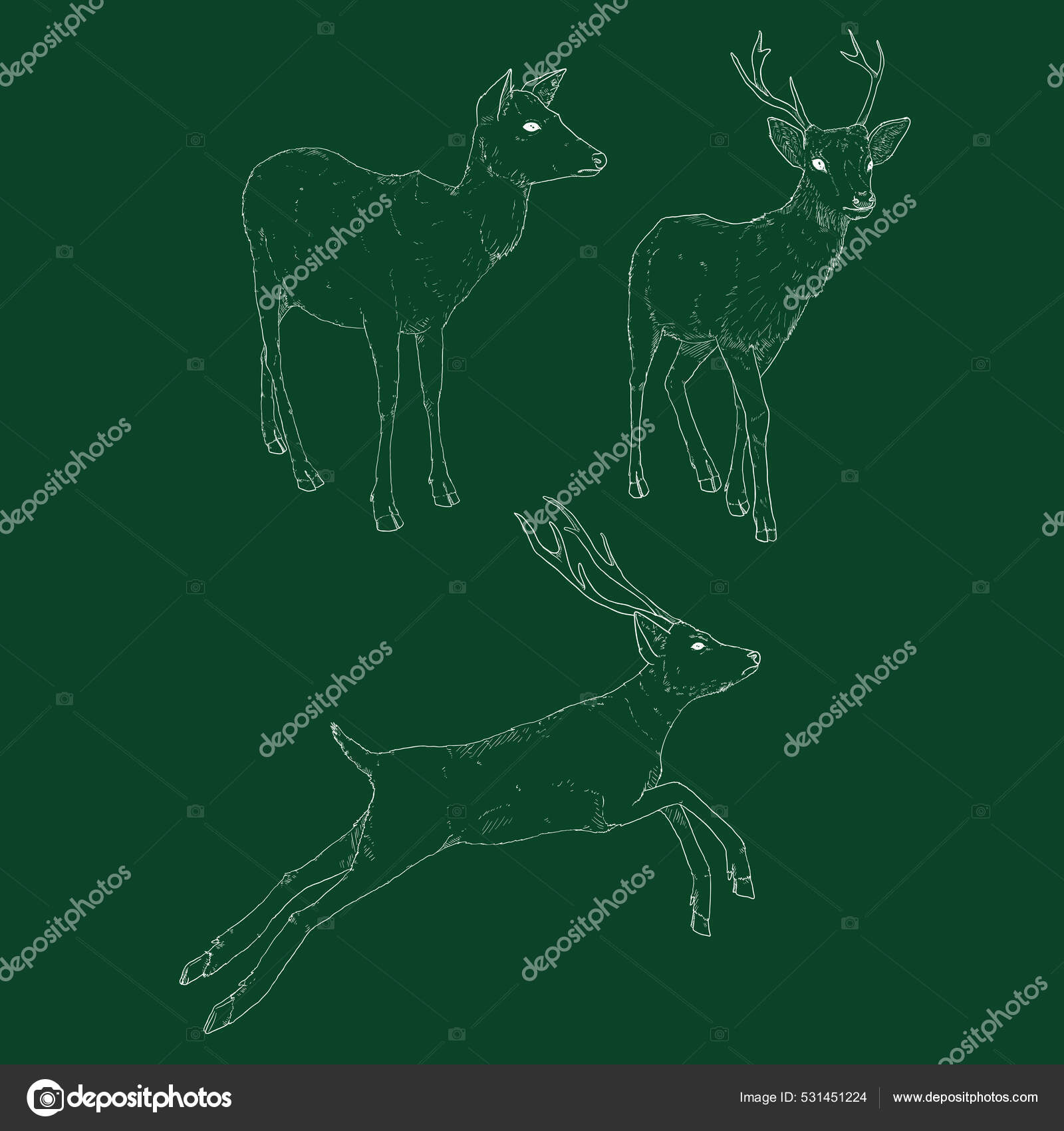 Vector Set Chalk Sketch Deer Illusrations Stock Vector Image by ...