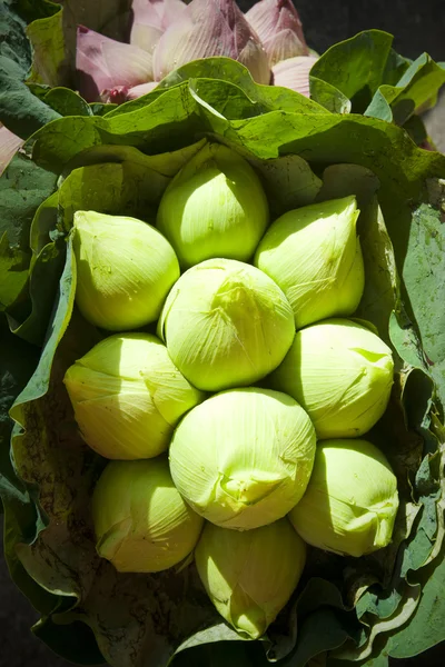 Fleurs de chou comestibles Stock Photos, Royalty Free Fleurs de chou ...