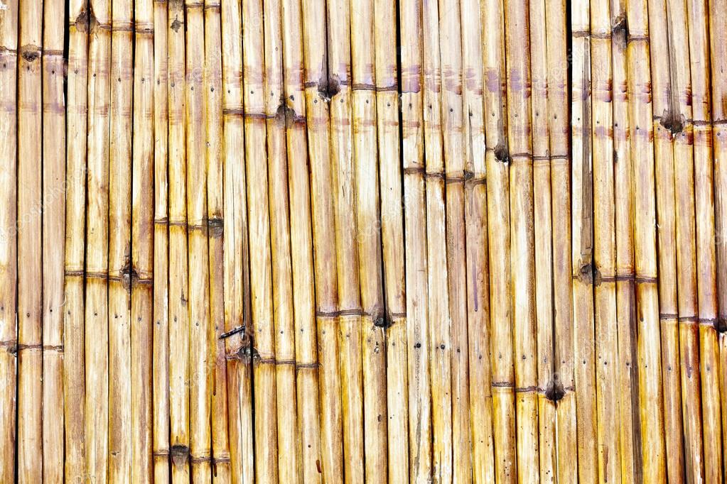 Bamboo fence background Stock Photo by ©AppleEyesStudio 36791421