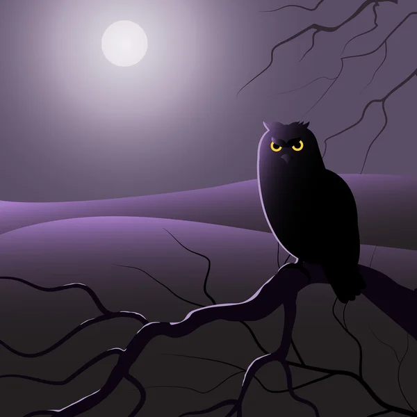 Owl in the night - Stock Image - Everypixel