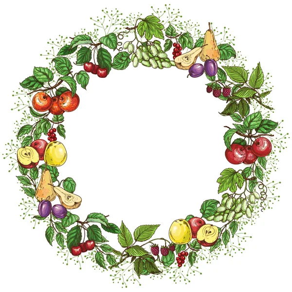 Round fruit Vector Art Stock Images | Depositphotos