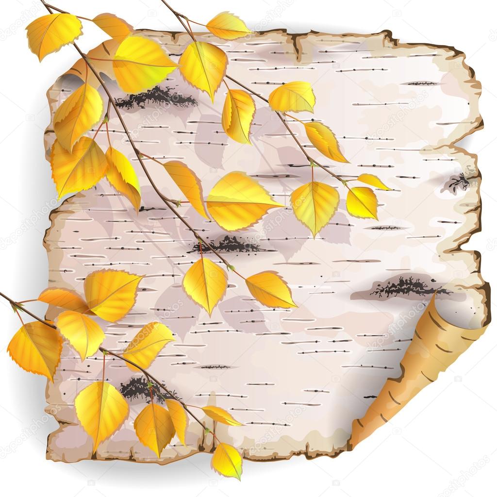 Birch bark and leaves Stock Vector by ©Valiva 51140645