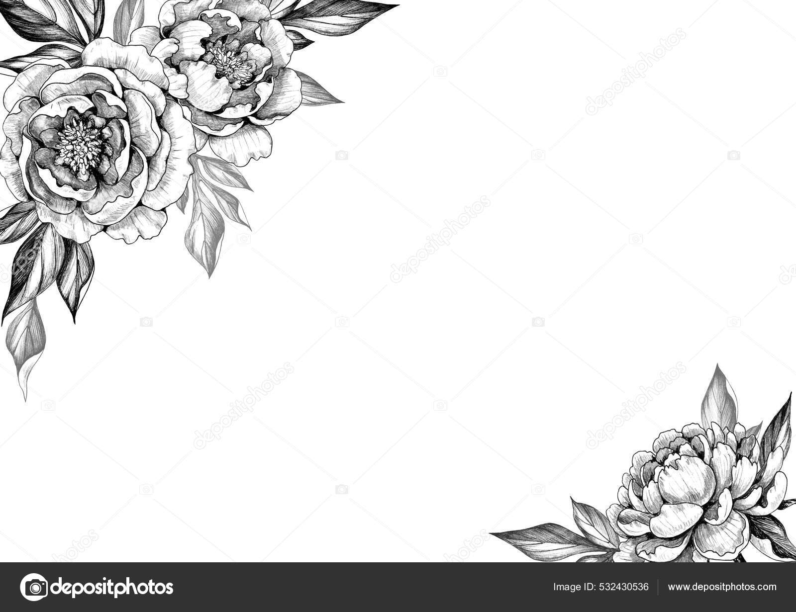 Black And White Elegant Border
