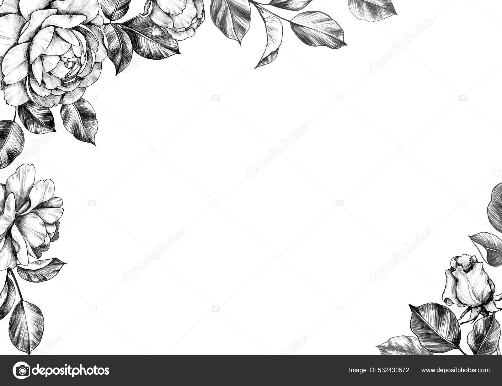 Rose Flower Border Black And White Customize 528+ Flower Page Border