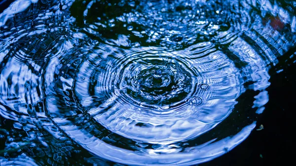 Raindrops falling on smooth surface of water. water droplets affect the ...