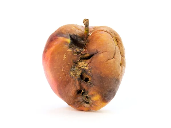 Rotten apple Stock Photo by ©spaxiax 1628946