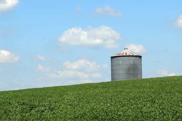 Campo silo Stock Photos, Royalty Free Campo silo Images | Depositphotos
