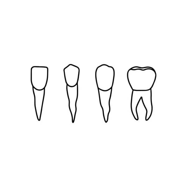 100,000 Types of teeth Vector Images | Depositphotos