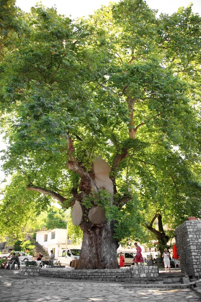 Lumbini tree Stock Photos, Royalty Free Lumbini tree Images | Depositphotos