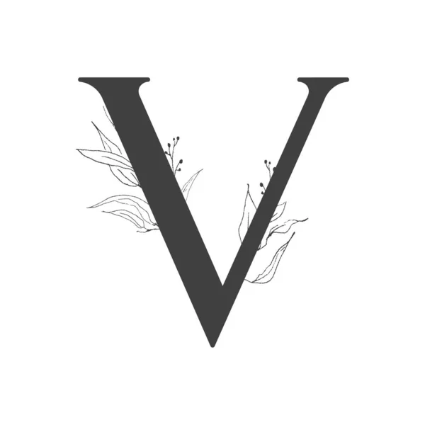 100,000 Locust valley Vector Images | Depositphotos