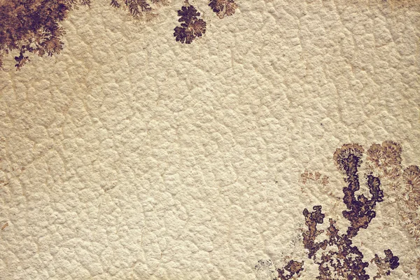 Texturas artísticas: fotografía de stock © Senshi61 #31368987 ...