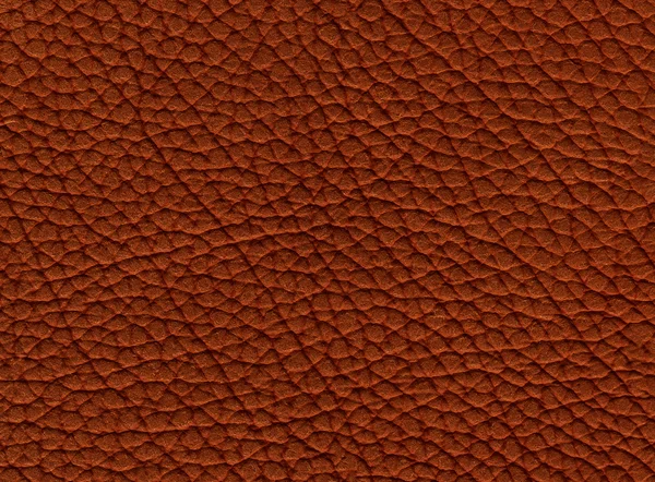 Leather displacement Stock Photos, Royalty Free Leather displacement ...