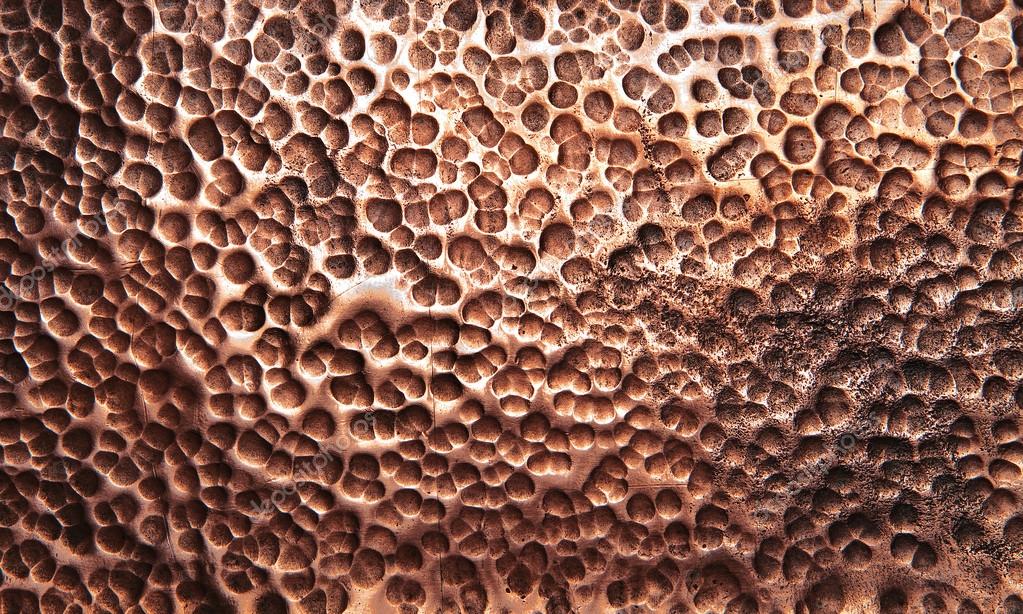 Hammered Copper Texture