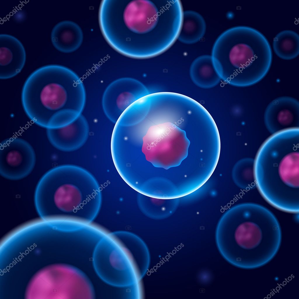 Detailed vector illustration of round membrane cells Stock Vector Image ...