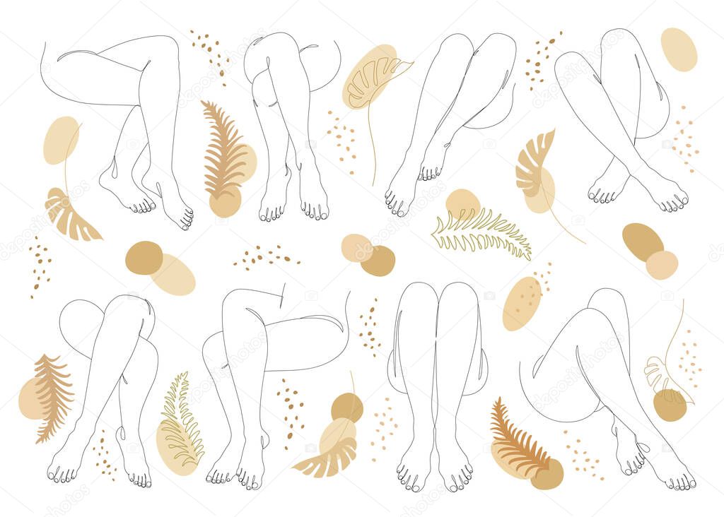 Colección. Las siluetas de las piernas femeninas, los pies y las hojas de la planta en el estilo ...