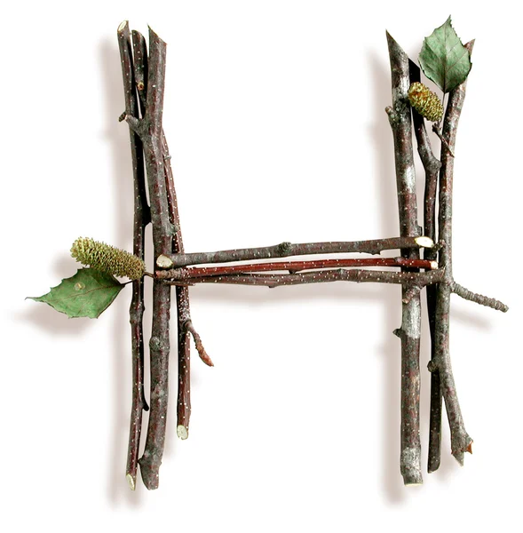 Natural Twig and Stick Letter G — Stock Photo © ronjoe #29373421