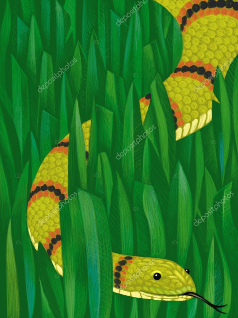 Illustration of Snake Stock Illustration by ©ronjoe #29376621