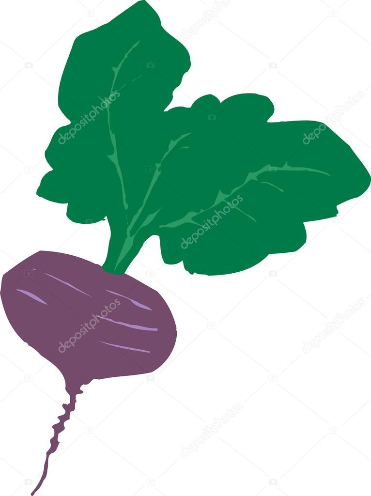 Woodcut Ilustración de remolacha Vector de stock #29465089 de ©ronjoe