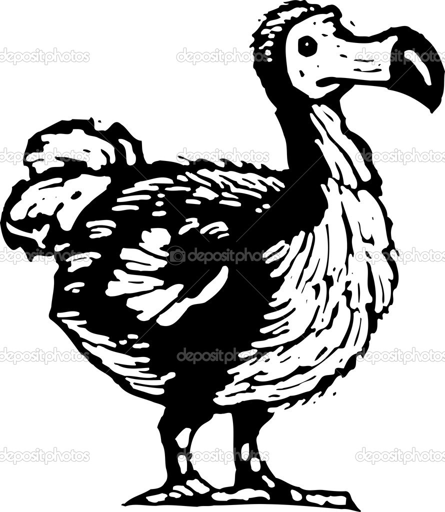 Vector illustration of Dodo Stock Vector by ©ronjoe 29514511