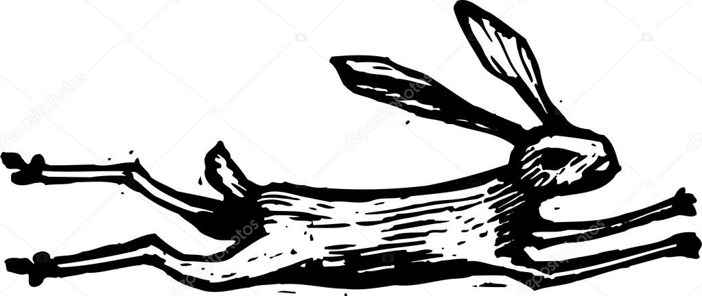 Jack Rabbit Running
